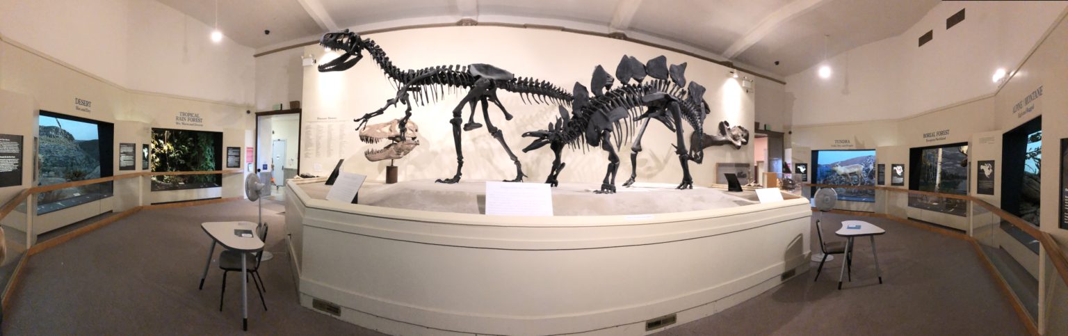 MSU Museum: Where Science and Culture Meet in East Lansing