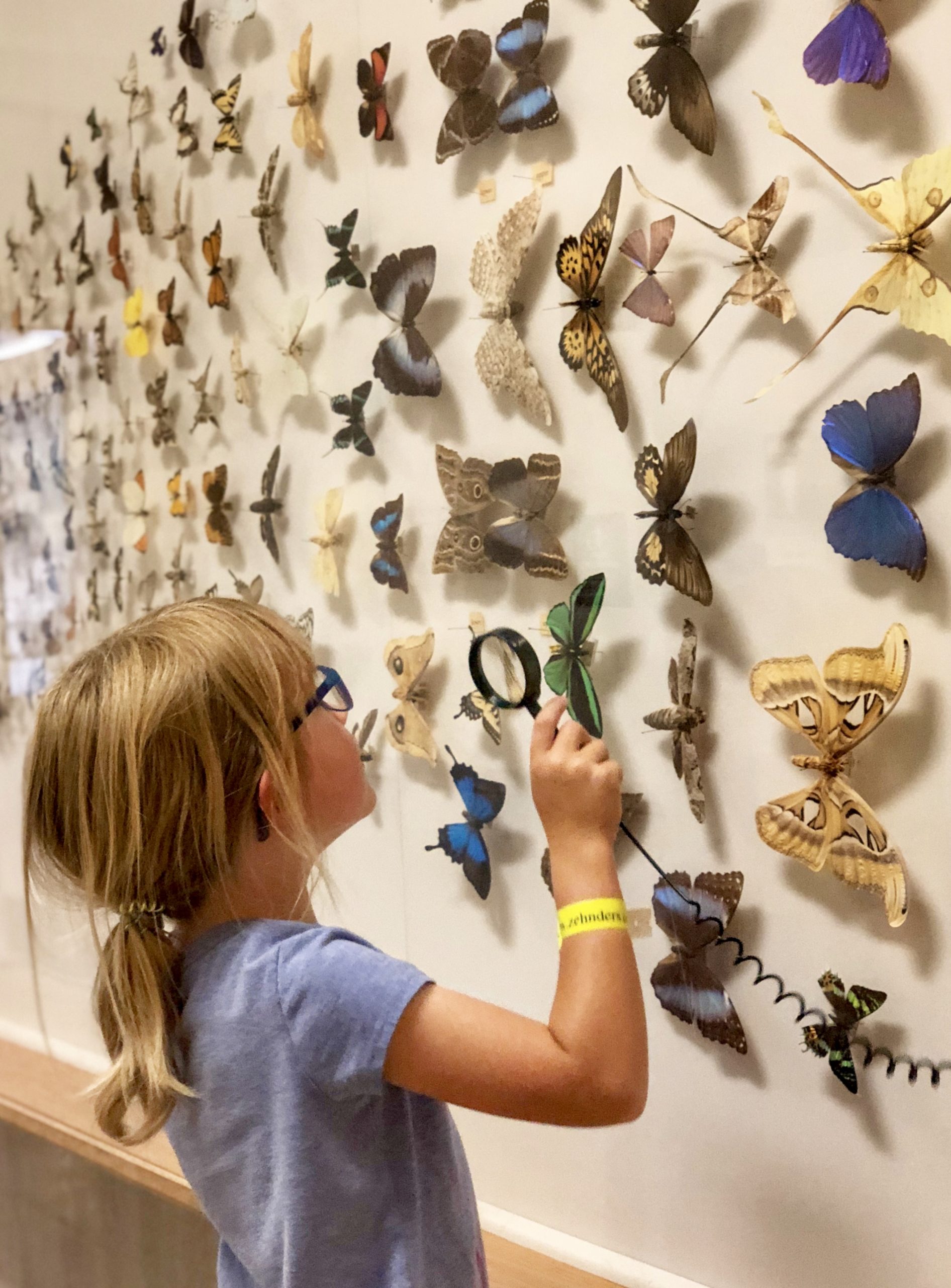 MSU Museum: Where Science and Culture Meet in East Lansing