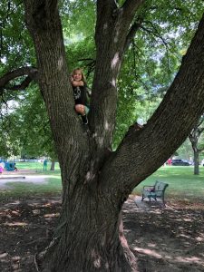 Family Fun Day in Birmingham Michigan - Mrs. Weber's Neighborhood